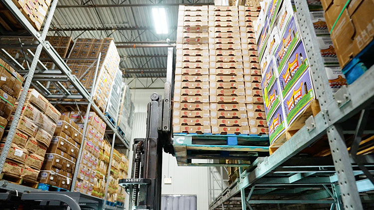 About Us - Jack Tuchten Wholesale Produce, Inc.